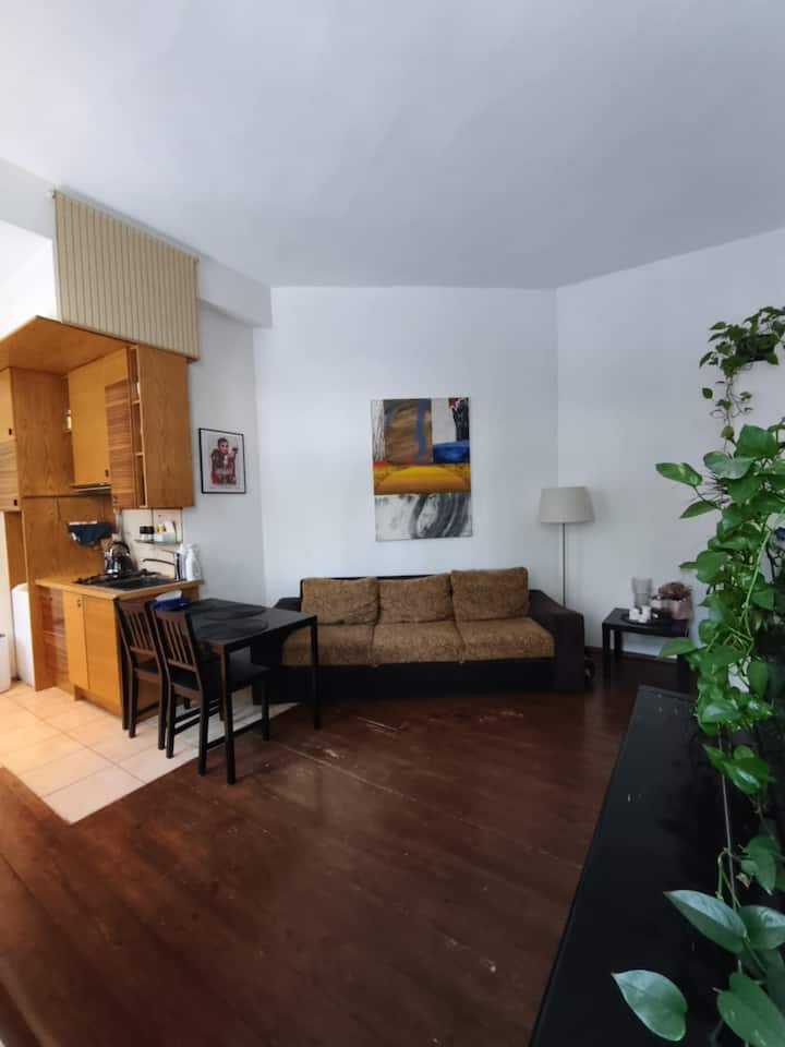 Charming Old Town Apartment - Vilnius