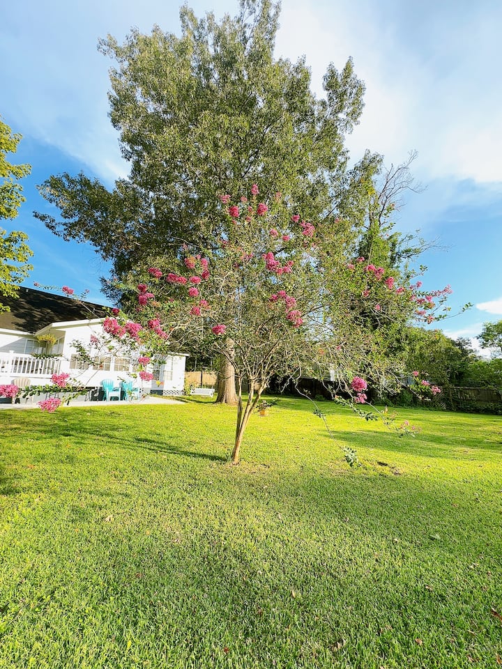 A Relaxing Home In Summerville! - Summerville