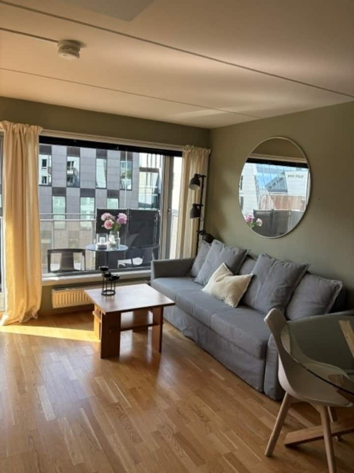Central Oslo Apartment  Balcony & Rooftop - Oslo
