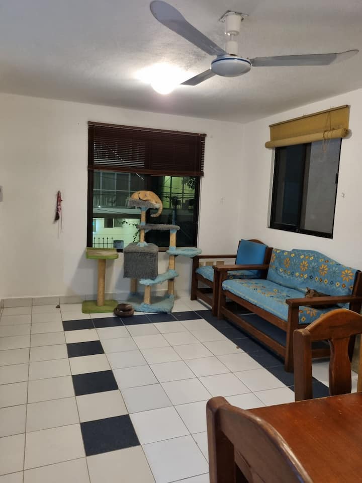 Habitación Quinta Avenida Y Playa A 2 Cuadras - Playa del Carmen