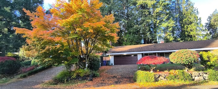 Mid-century Home Central Bellevue Golf Course View - Bellevue