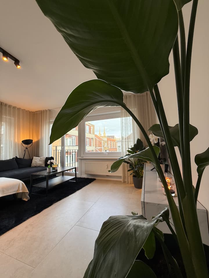 Luxury 2 Bedroom Apartment In The Heart Of Ostend - Ostende
