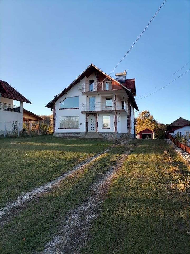 Divina - Curtea de Argeș