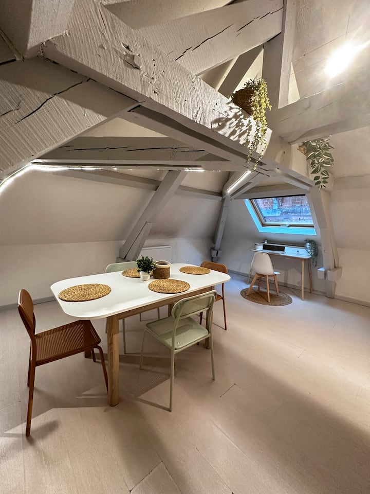 Appartement Atypique - Yzeure