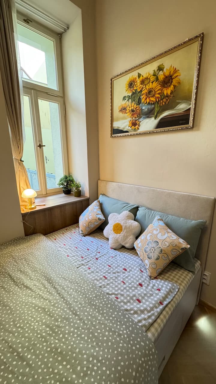 Newly Renovated Apartment In Wenceslas Square - Praga