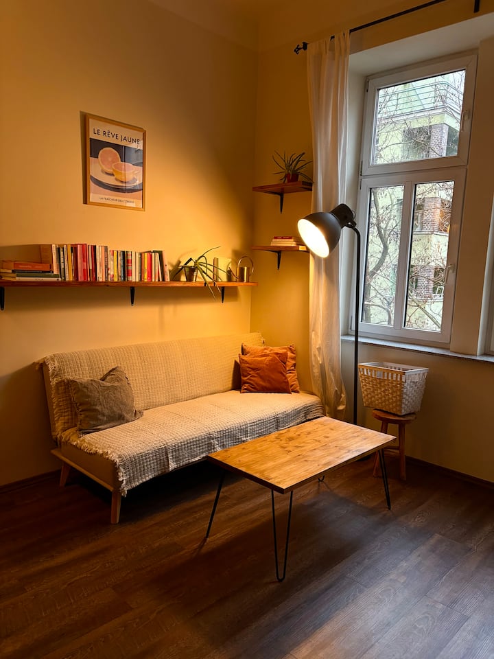 Helle & Gemütliche Altbauwohnung - Vienna