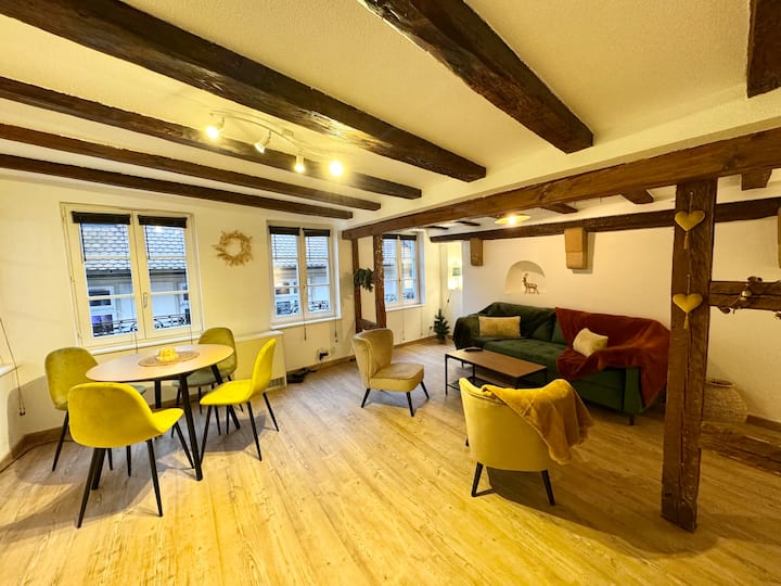 Charmant Appartement En Plein Centre Historique - Strassburg