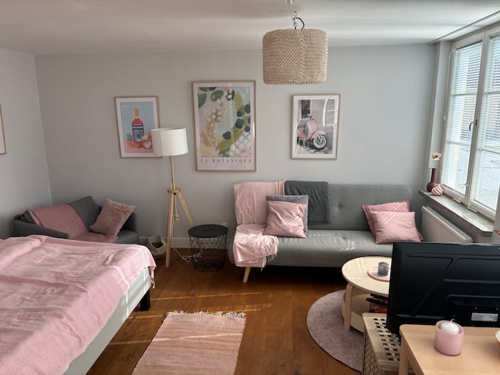 Fin Lägenhet I Visby Innerstad - Visby