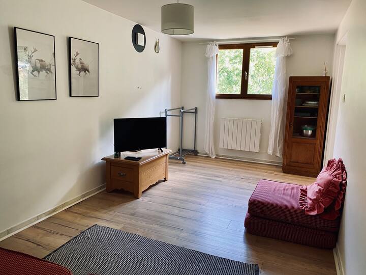 Appartement "Du Pont De Charme" - Brides-les-Bains