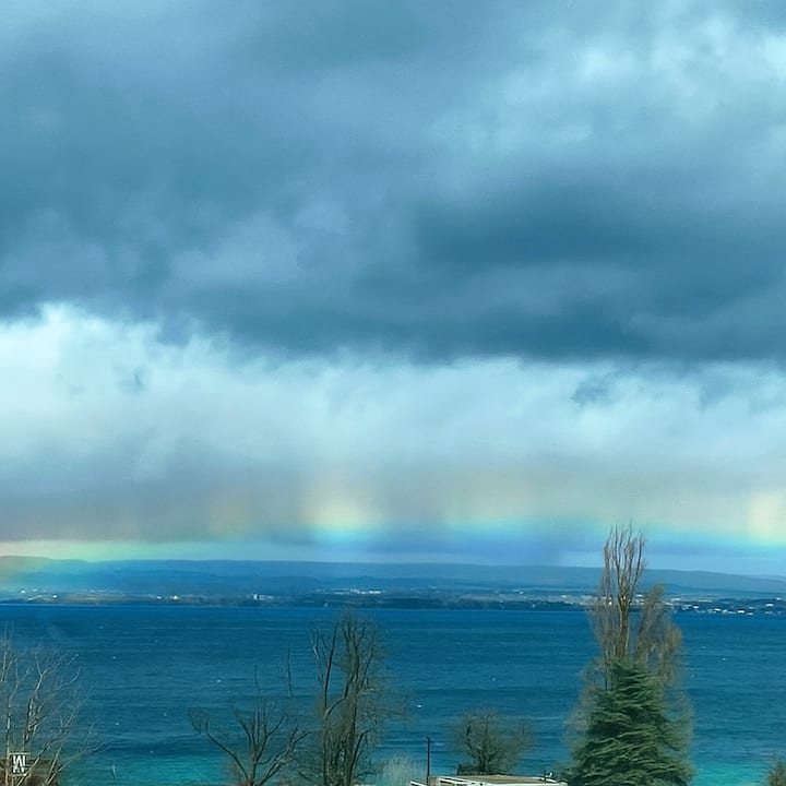 La Villa Panorama - Thonon-les-Bains