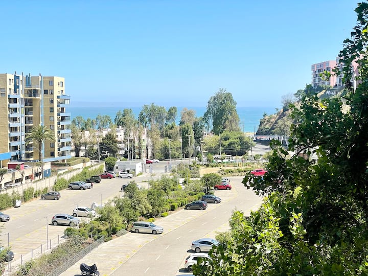 Entre Valparaíso Y Viña Del Mar - 발파라조