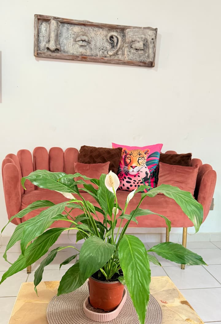 Casa Montes De Oca, Cercana A Centró Guadalajara - Guadalajara