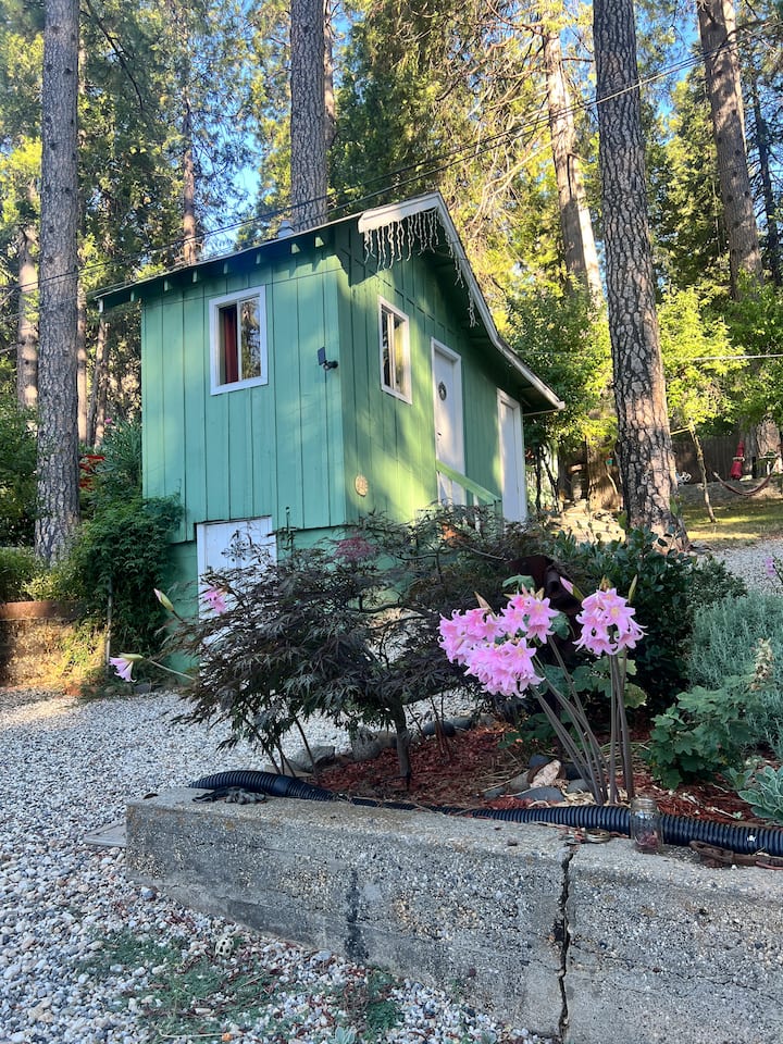 Chalet In The Pines - Grass Valley, CA