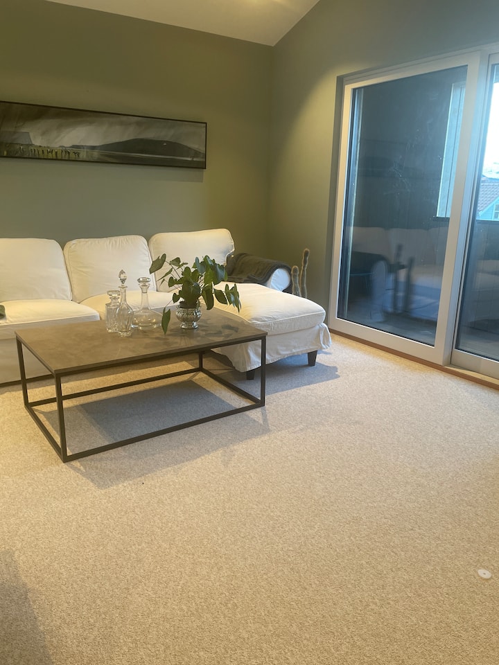 Enebolig Med 5 Soverom I ÅLesund - Alesund