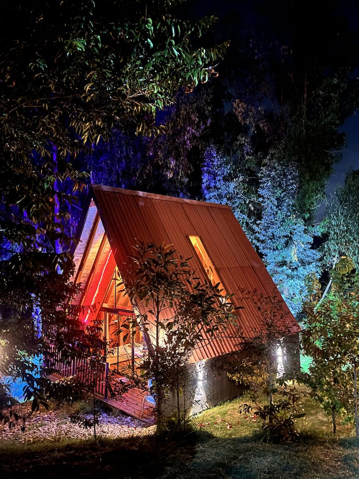 Private Cabin Panoramic View Tv, Wifi Parking - Colombia