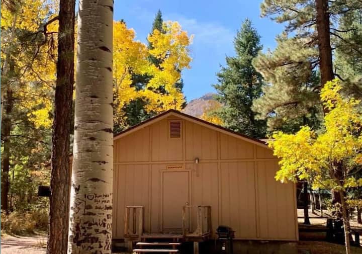 Group Space! The Bunkhouse For 20+ - Alpine, AZ