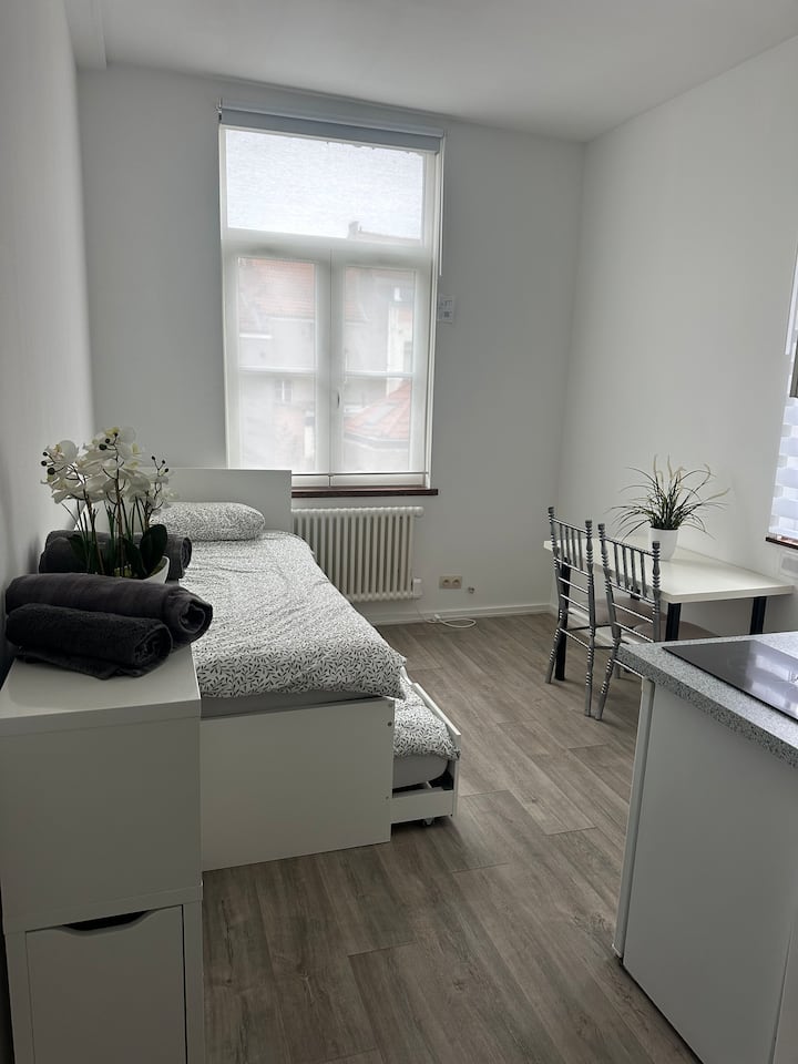 Charmant Studio Toute éQuipée Près Du Centre Ville - Bruselas