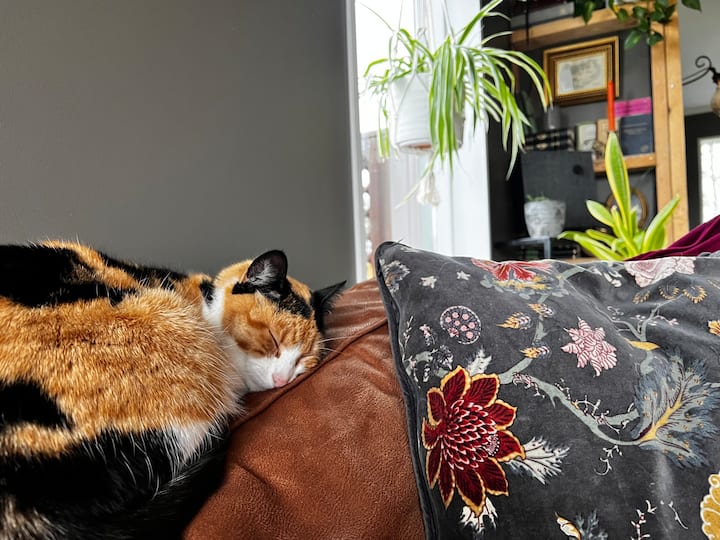 Peaceful Country Room Near Hella/ Friendly Animals - Islande