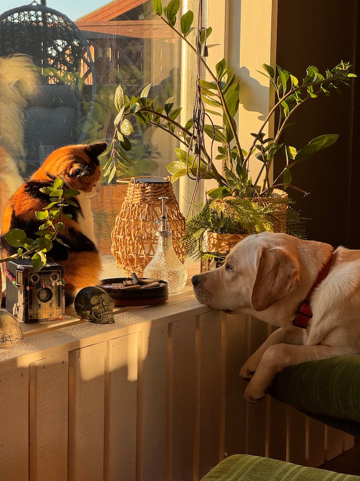 Peaceful Country Room Near Hella/ Friendly Animals - IJsland