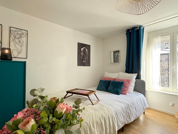 La Bonbonnière Studio | Netflix & Wifi - Puy de Sancy