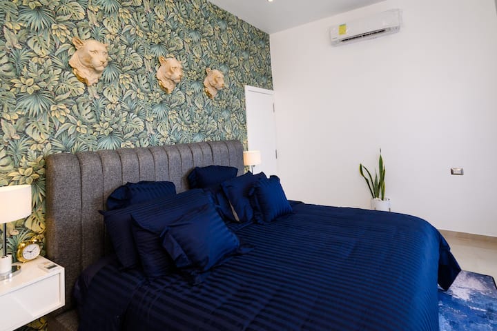 Departamento Jaguar - Chetumal