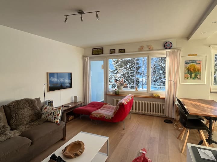 Zentral, Neben Talabfahrt Parsenn - Davos