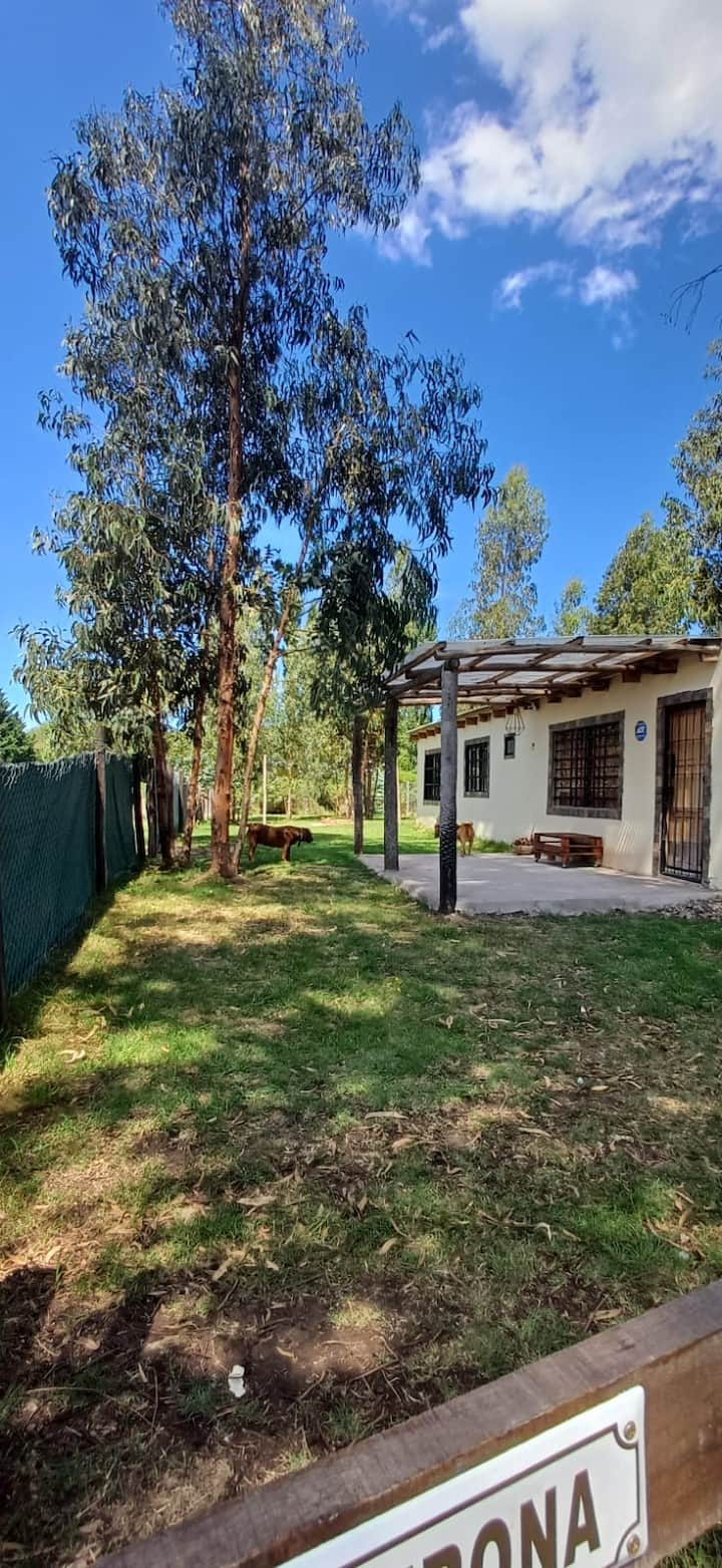 ¡Renta Ya! Casa De Verano En El Bosque De Necochea - Necochea