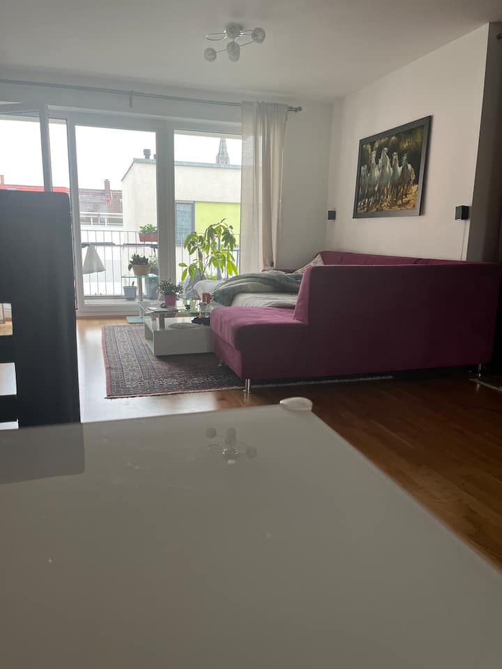 Beautiful Apartment 2-bedroom - Ulm