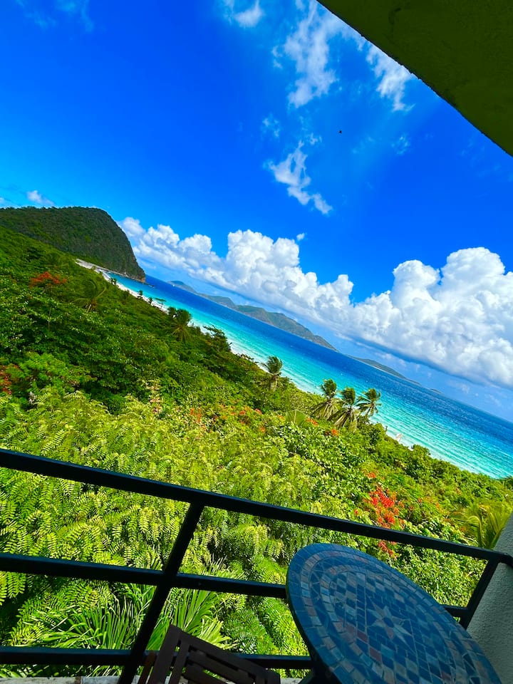 Pelican Perch Apartment - East End