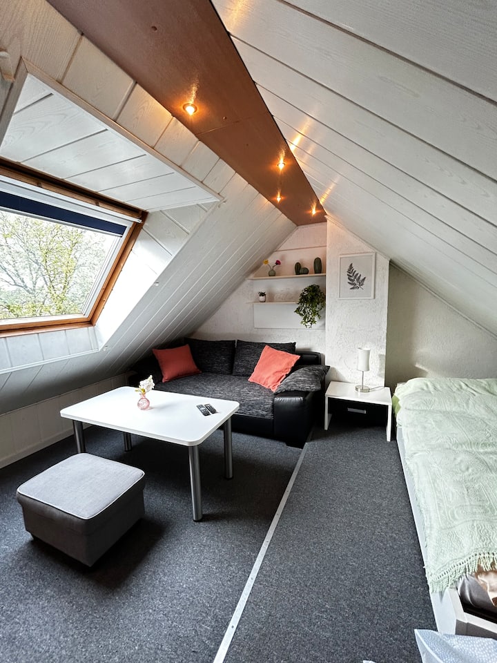 Kleine Dachgeschosswohnung - Gelsenkirchen