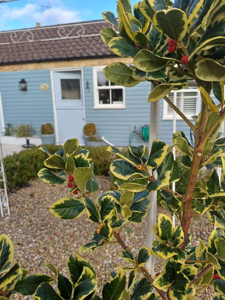 A Little Gem - Bourne