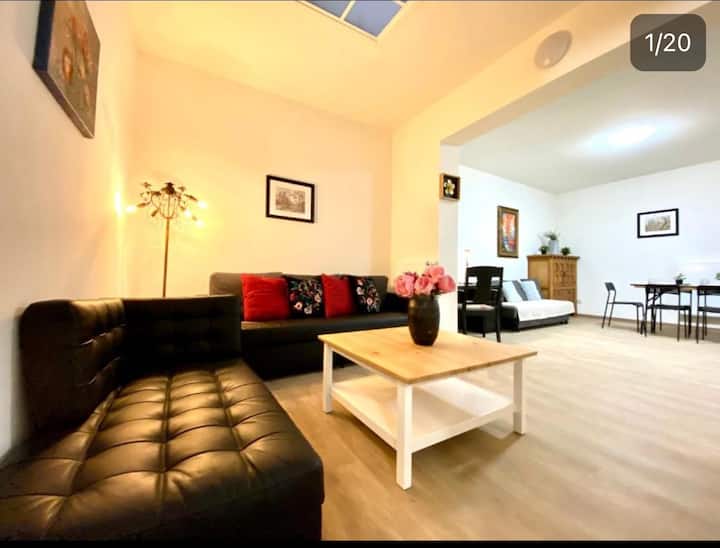 Carnot 6 - Anversa