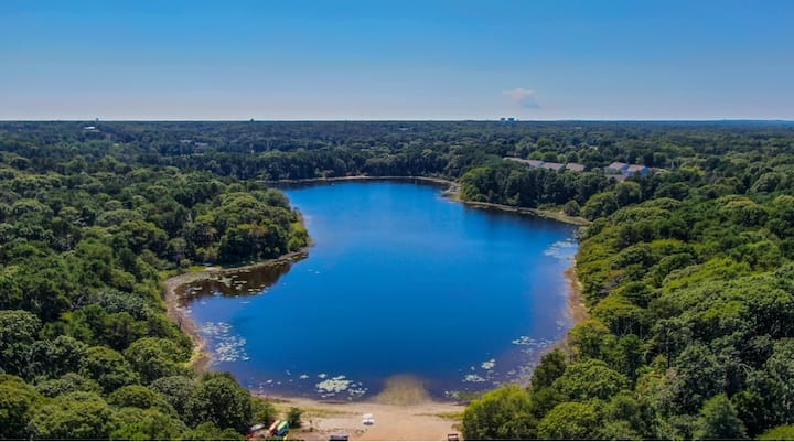 Brand New, On A Secret Pond - Brewster