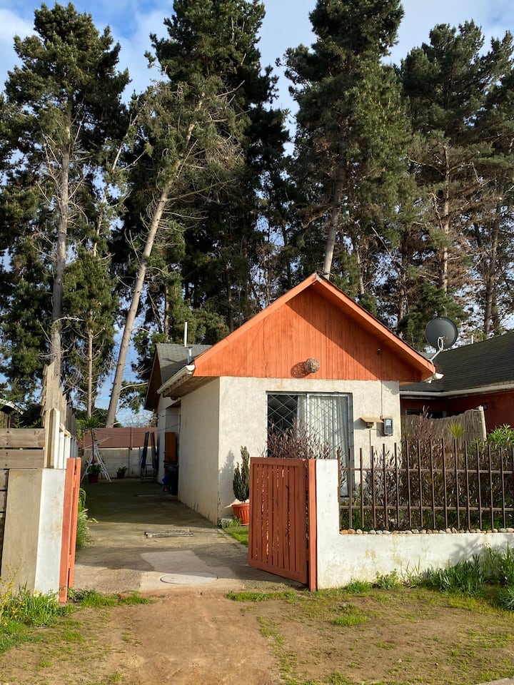 A Pasos De Playa El Canelo Hermosa Y Amplia Casa - Algarrobo