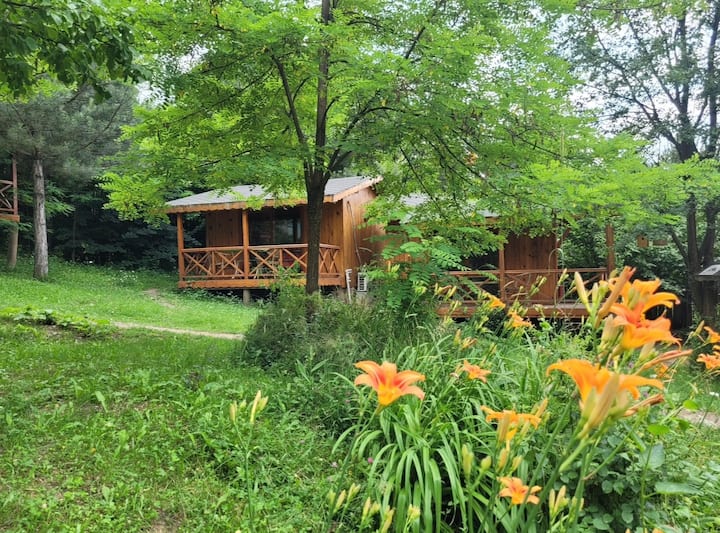 Bungalov Ev - Zonguldak