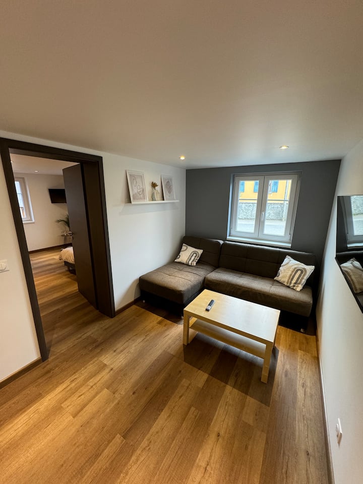 Appartement Rez-de-chaussée Centre Alsace - Alsace