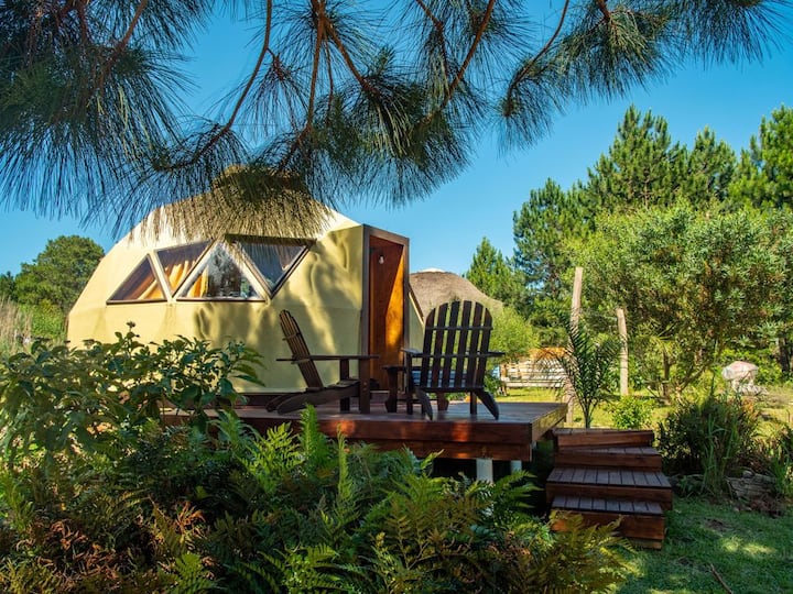 Domo Tortuga Verde Para Dos - Uruguay