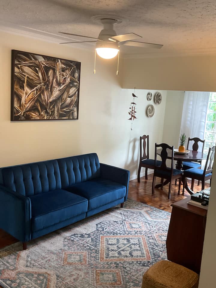 Good Vibrations Apartment - Kingston, Jamaica