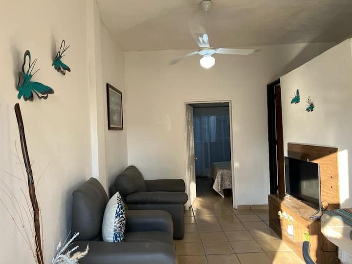 Estudio Tikal - Puerto Vallarta