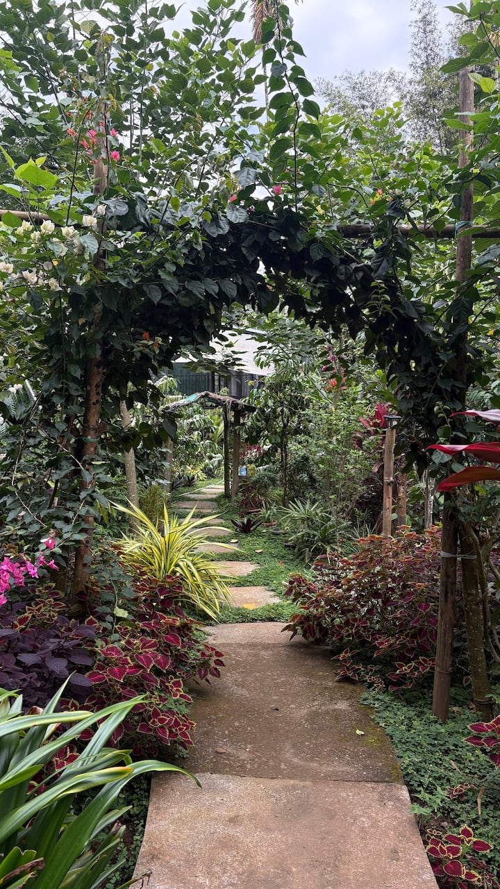 Nature’s Lap Farmcabin | Teaestate & Stream View - India