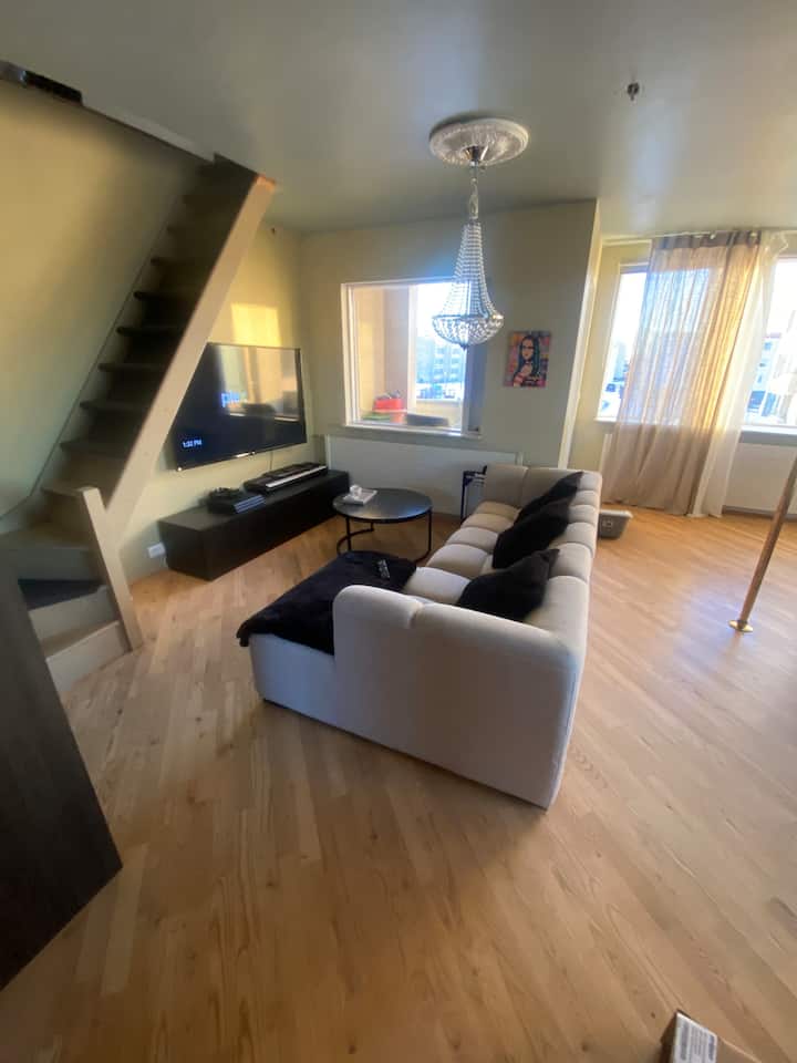 Your Home In Reykjavík - IJsland
