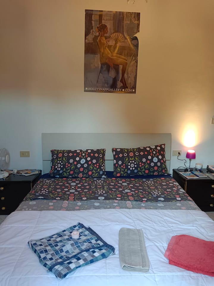 Camera Matrimoniale Da Abitante In Palazzo - Venecia