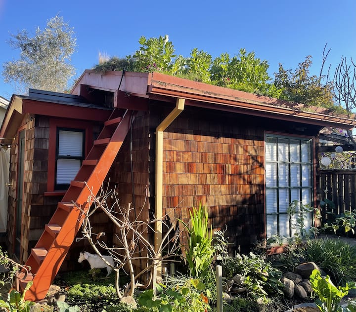Tiny House With Green Roof In Berkeley Backyard. - Berkeley, CA