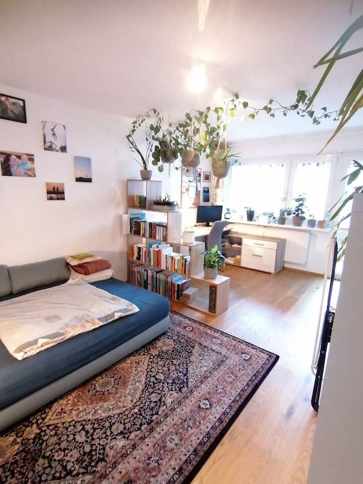 Chillen Im Herzen Salzburgs - Salzbourg