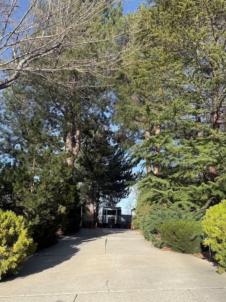 The Foley Nest - Reno, NV