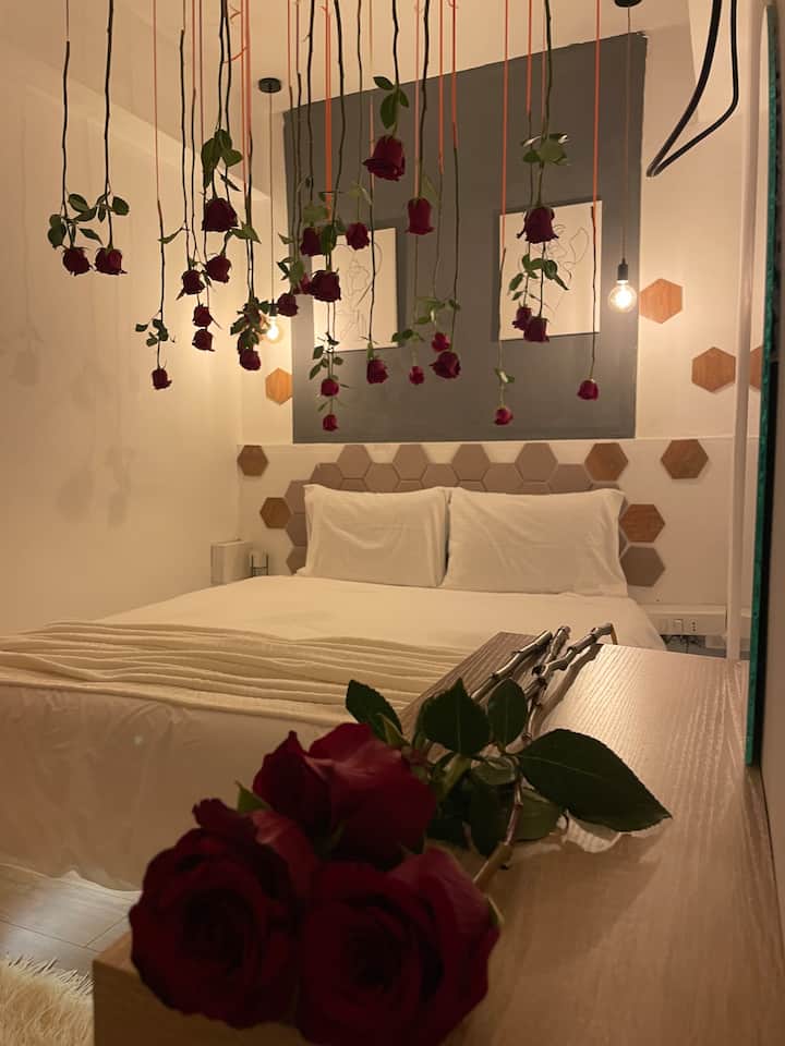 Apis  Apt Romeo With Private Garden - Korçë