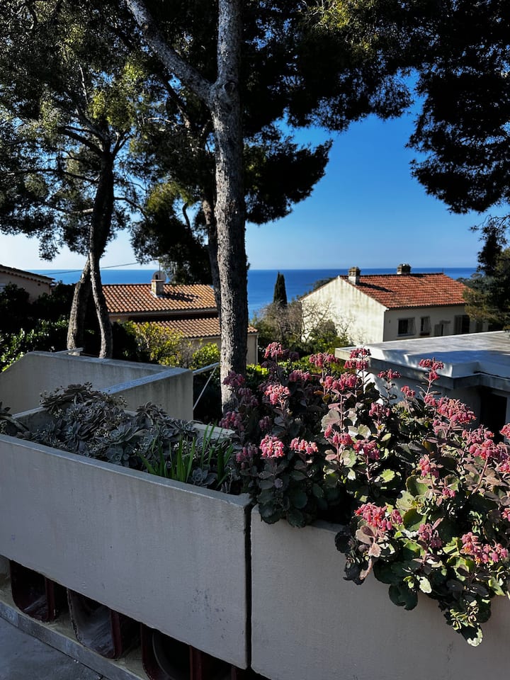Appartement Jardin Avec Vue Mer - Saint-Mandrier-sur-Mer