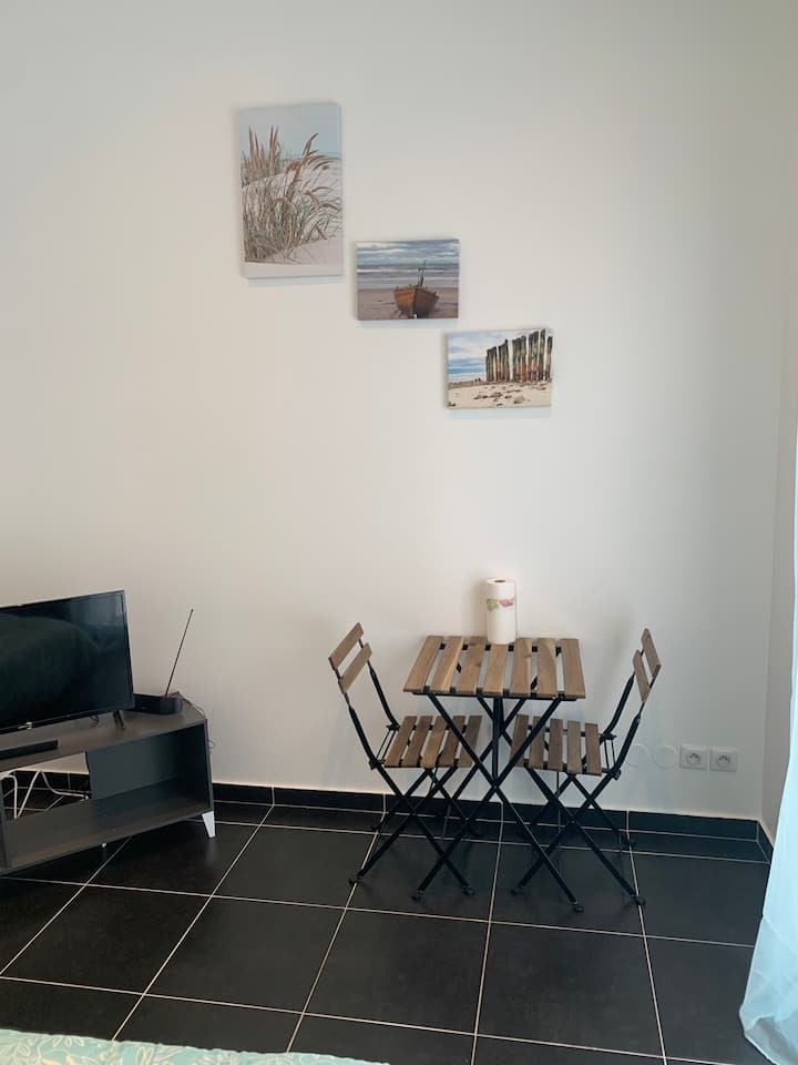 3 Jolies Petits Pavillons Studio - Nancy