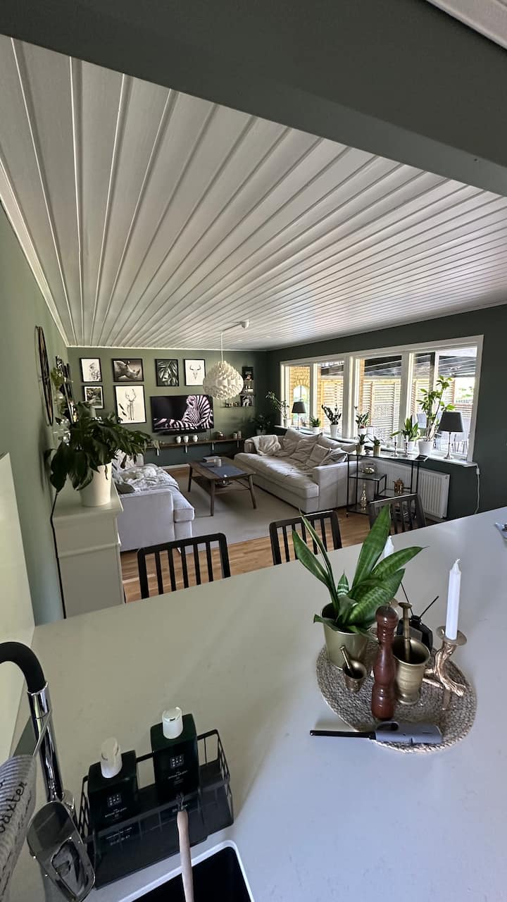 Lövsångaren - Orsa