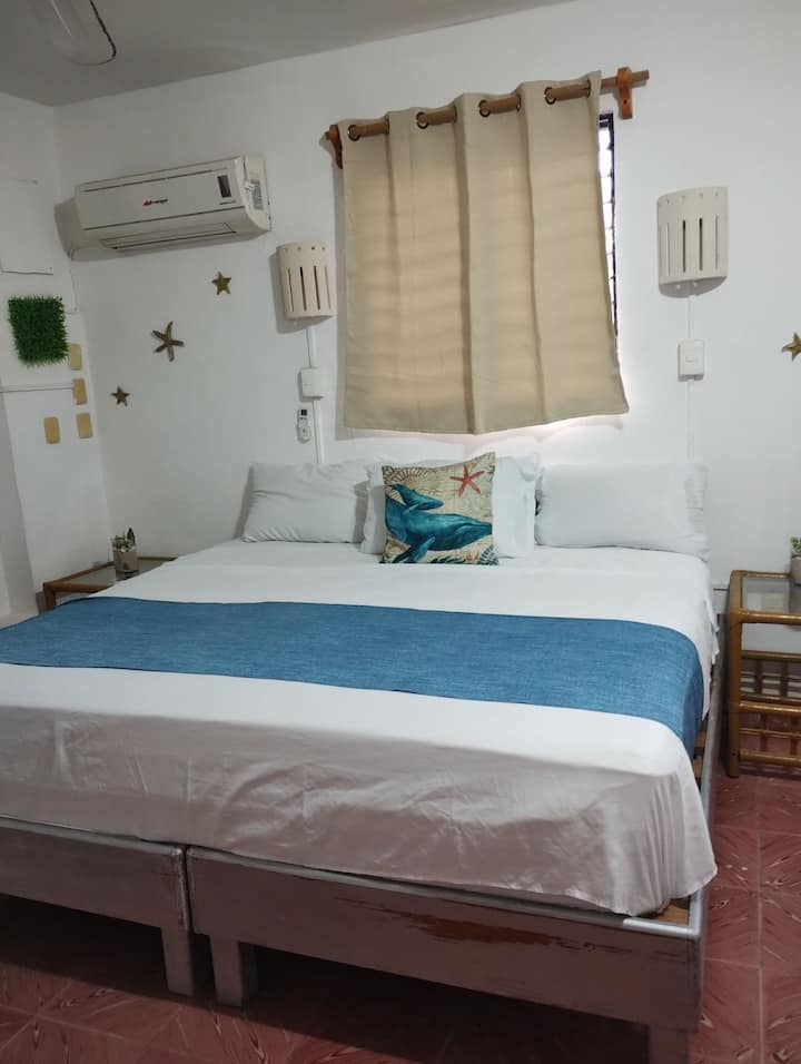 San Miguel 2 - Cozumel